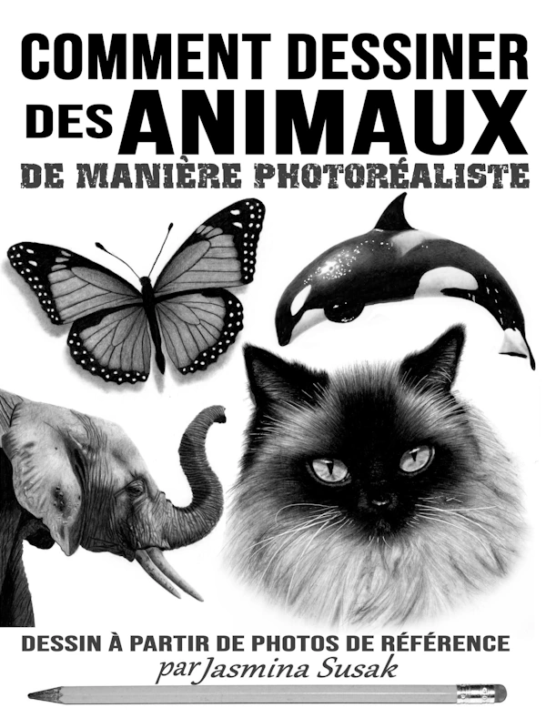 GriDraw + l'application web gratuite pour créer vos grilles de dessin